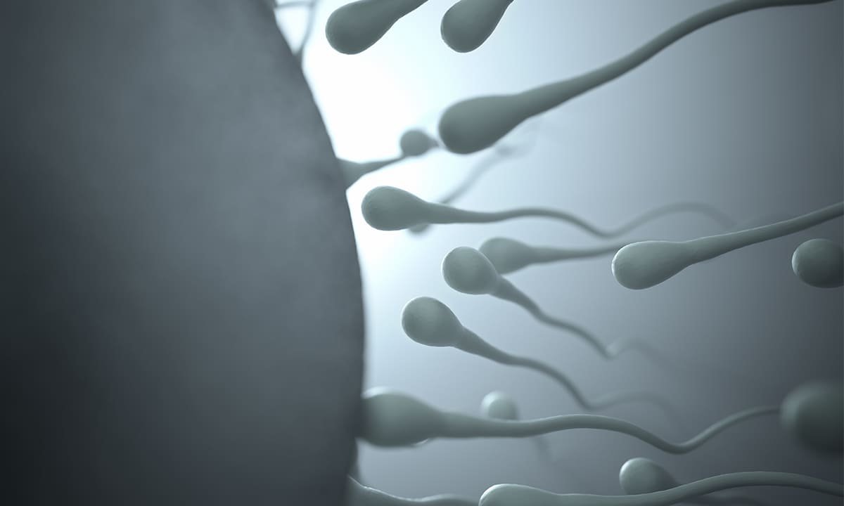 Reproducción asistida y las mujeres: un verdadero avance ...